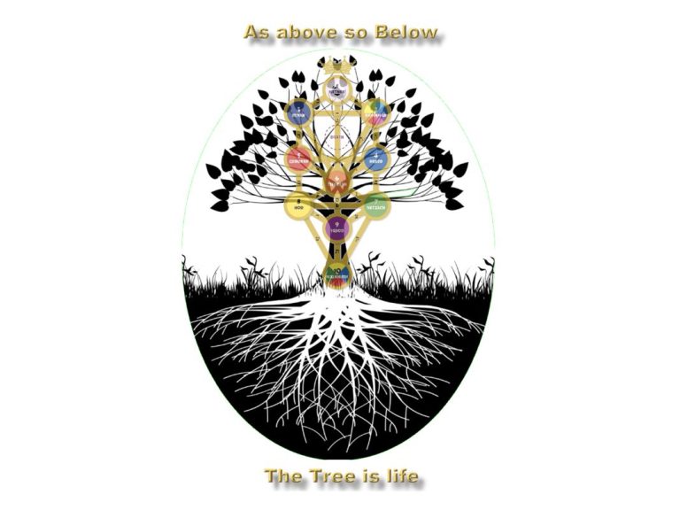 The Tree Is Life – Spiritual Life